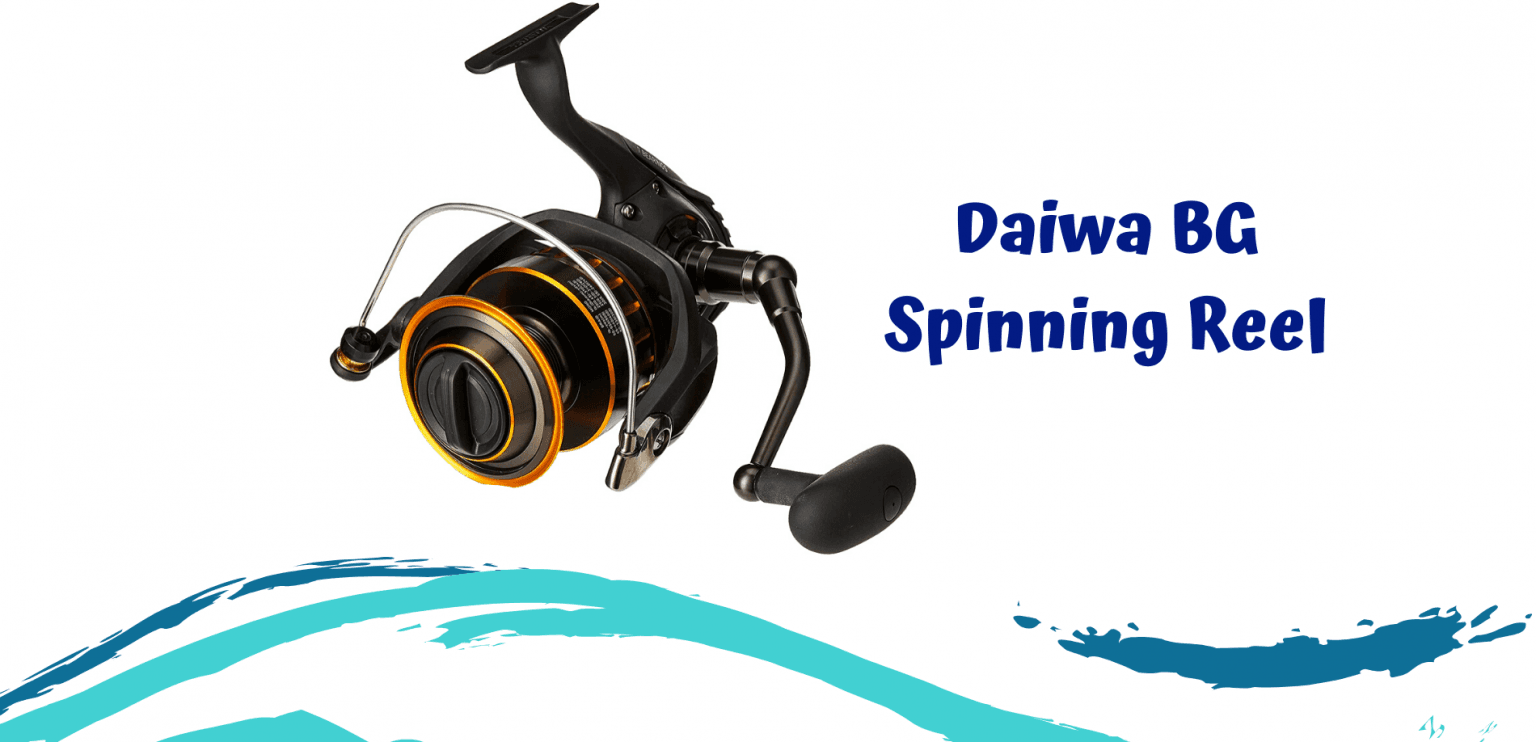 Best Baitcasting Reel for Saltwater [Reviews, Buying Guide]